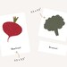 16 Vegetables Flash Cards Montessori Flashcards Educational Printable ...