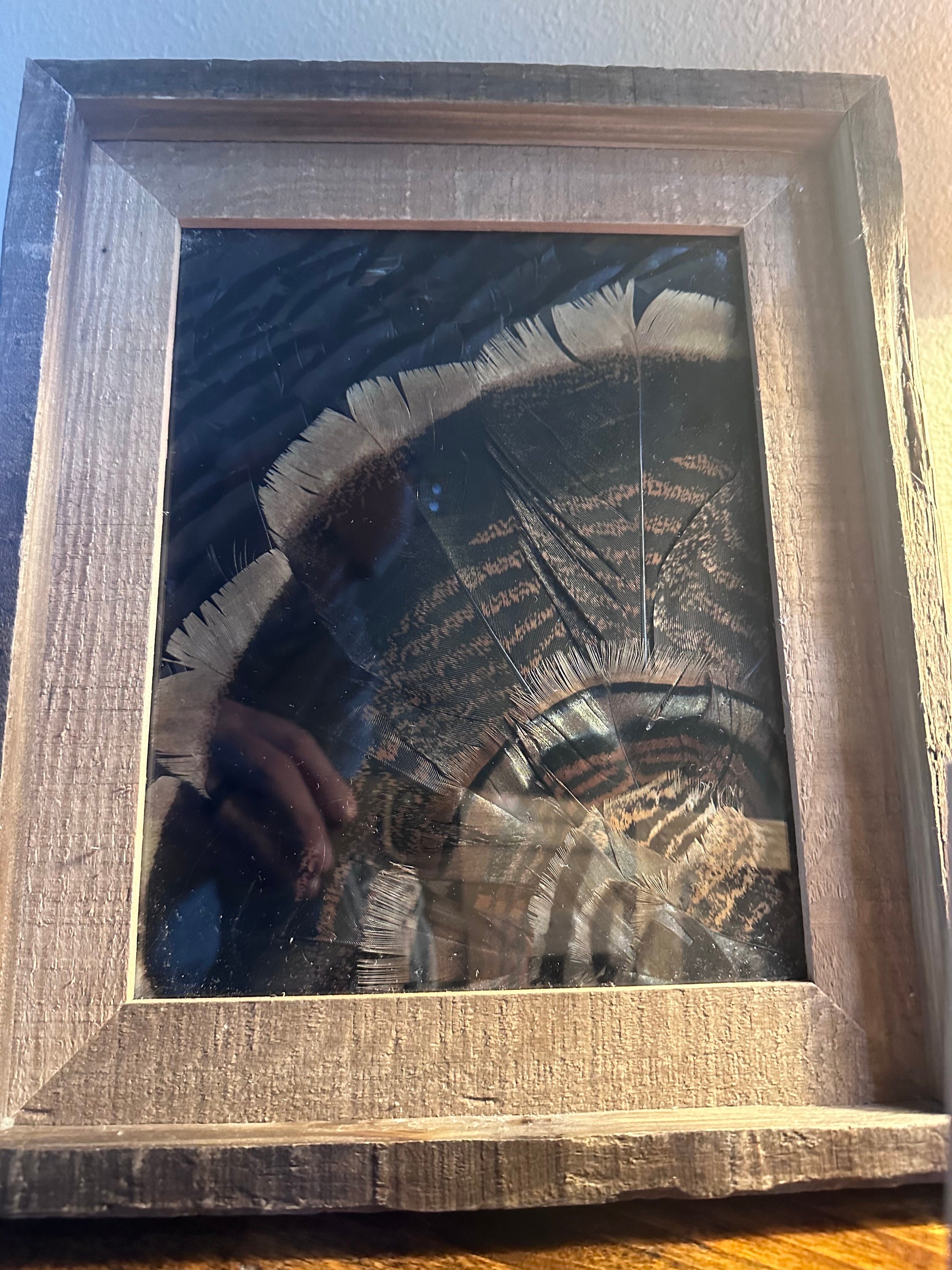 Wild Turkey Feather Art Frame Home Decor - Etsy