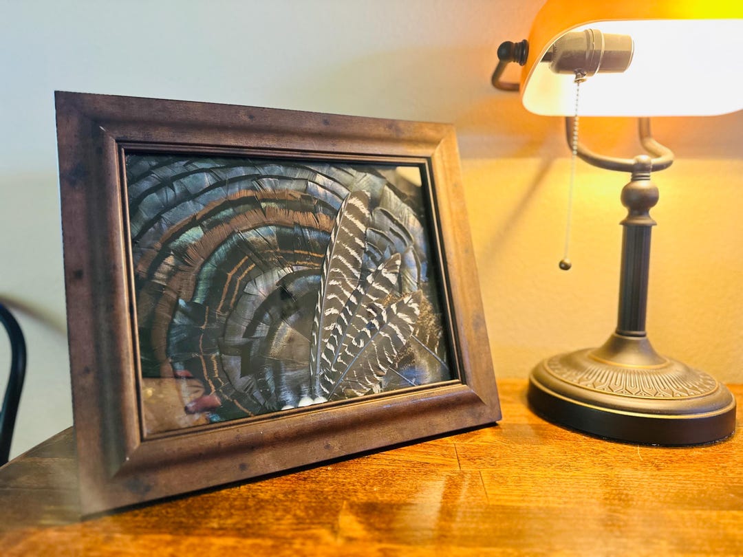 Wild Turkey Feather Art Frame Home Decor - Etsy