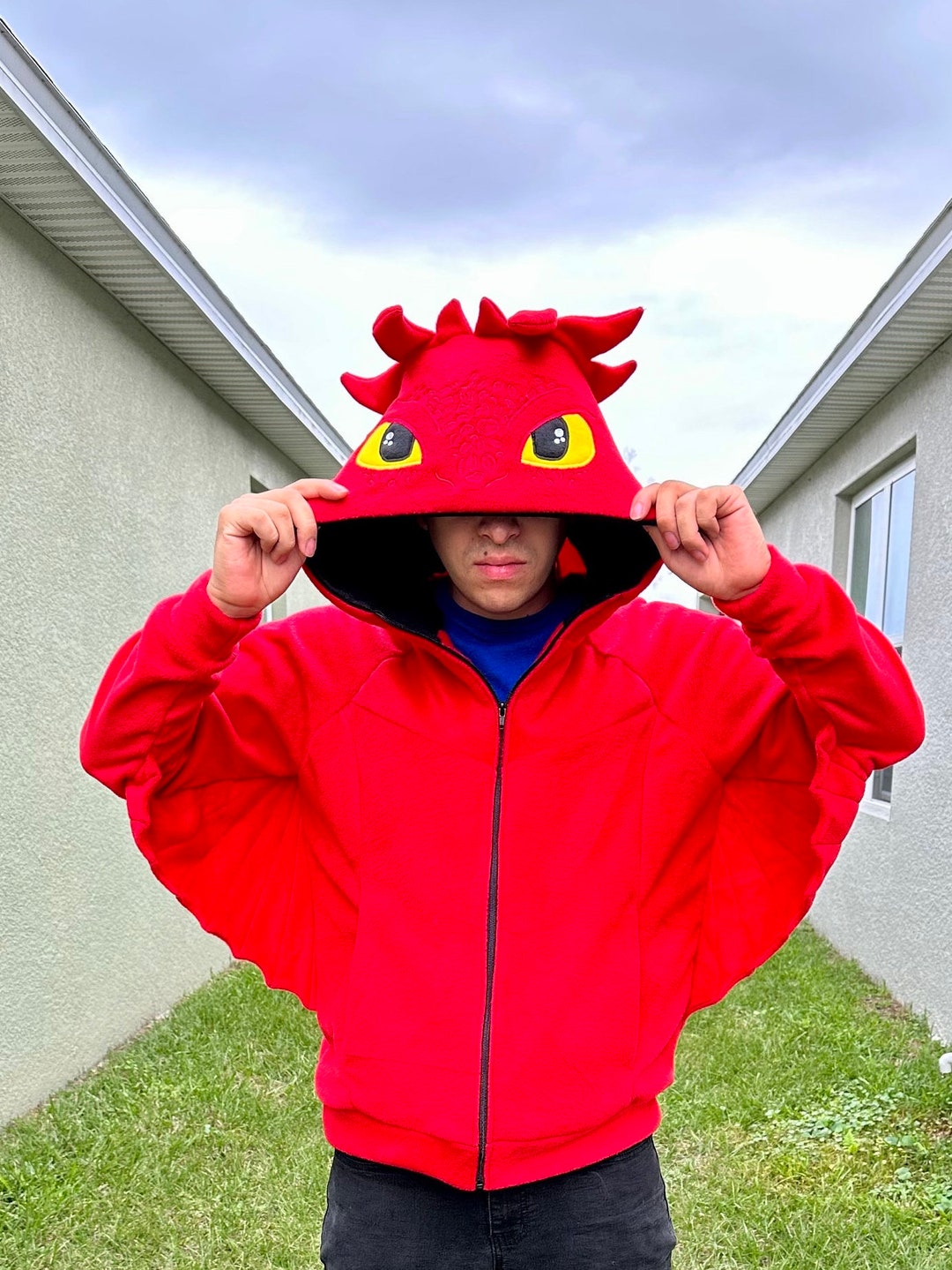 Red Embroidered Toothless Hoodie and Zipper From the Animated Film How ...