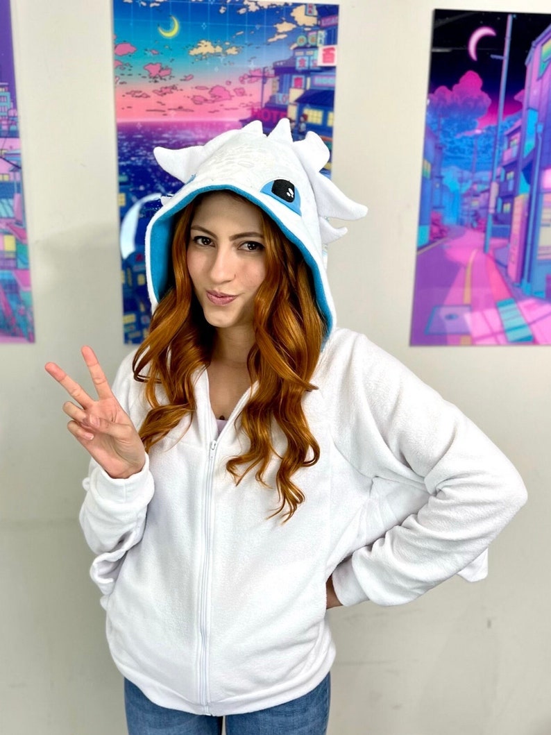 Light Fury Hoodie for Winter Season Unisex / Hoodie Black / - Etsy