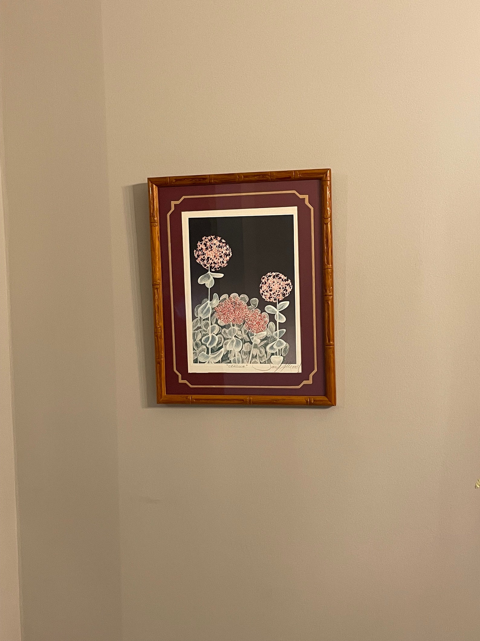 VTG Botanical Art “CRASSULA” by David Allgood 12x15” in Wood Frame - Etsy