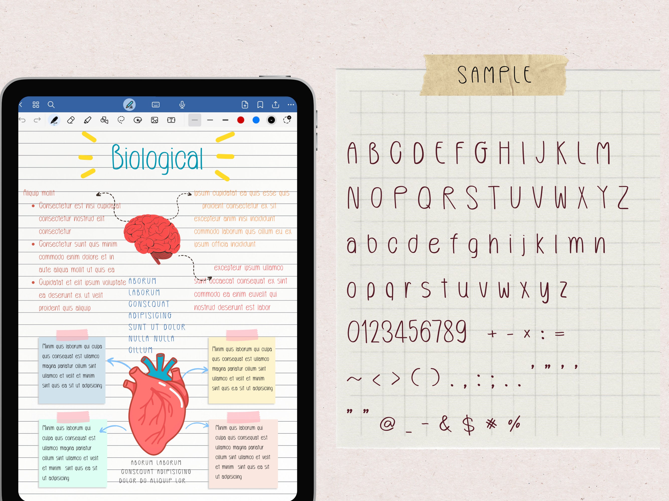 Teacher Font, Take Note Font, Clean Font, Goodnote Font, Casual Font ...
