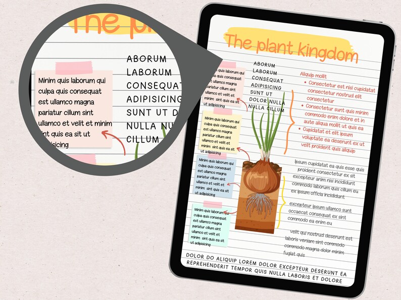 Neat Handwritten Font, Student and Teacher Note Taking, Handwriting ...