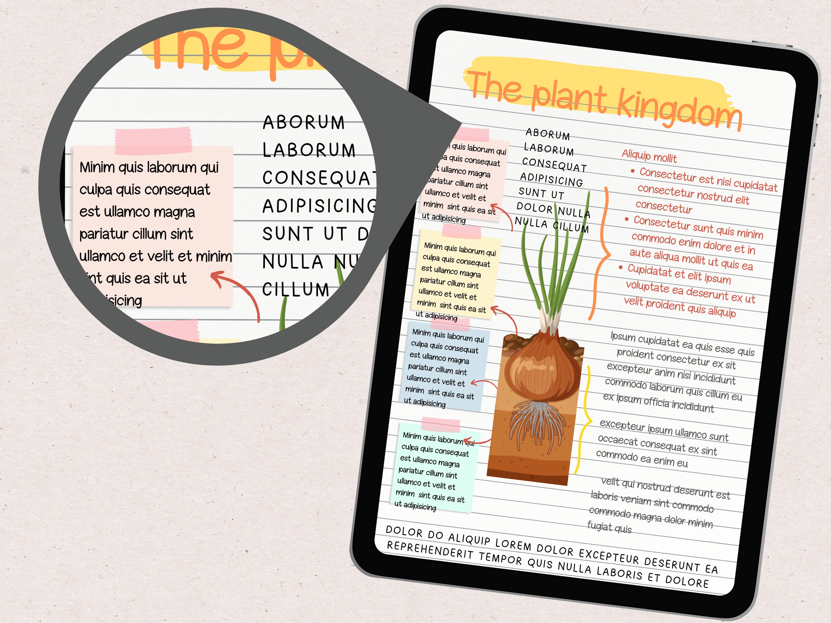 Neat Handwritten Font, Student and Teacher Note Taking, Handwriting ...