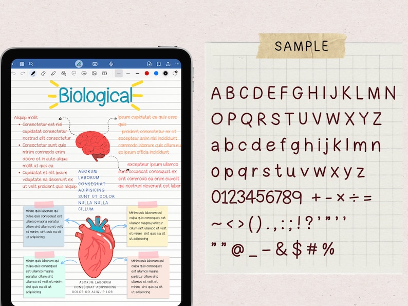 Neat Handwritten Font, Student and Teacher Note Taking, Handwriting ...