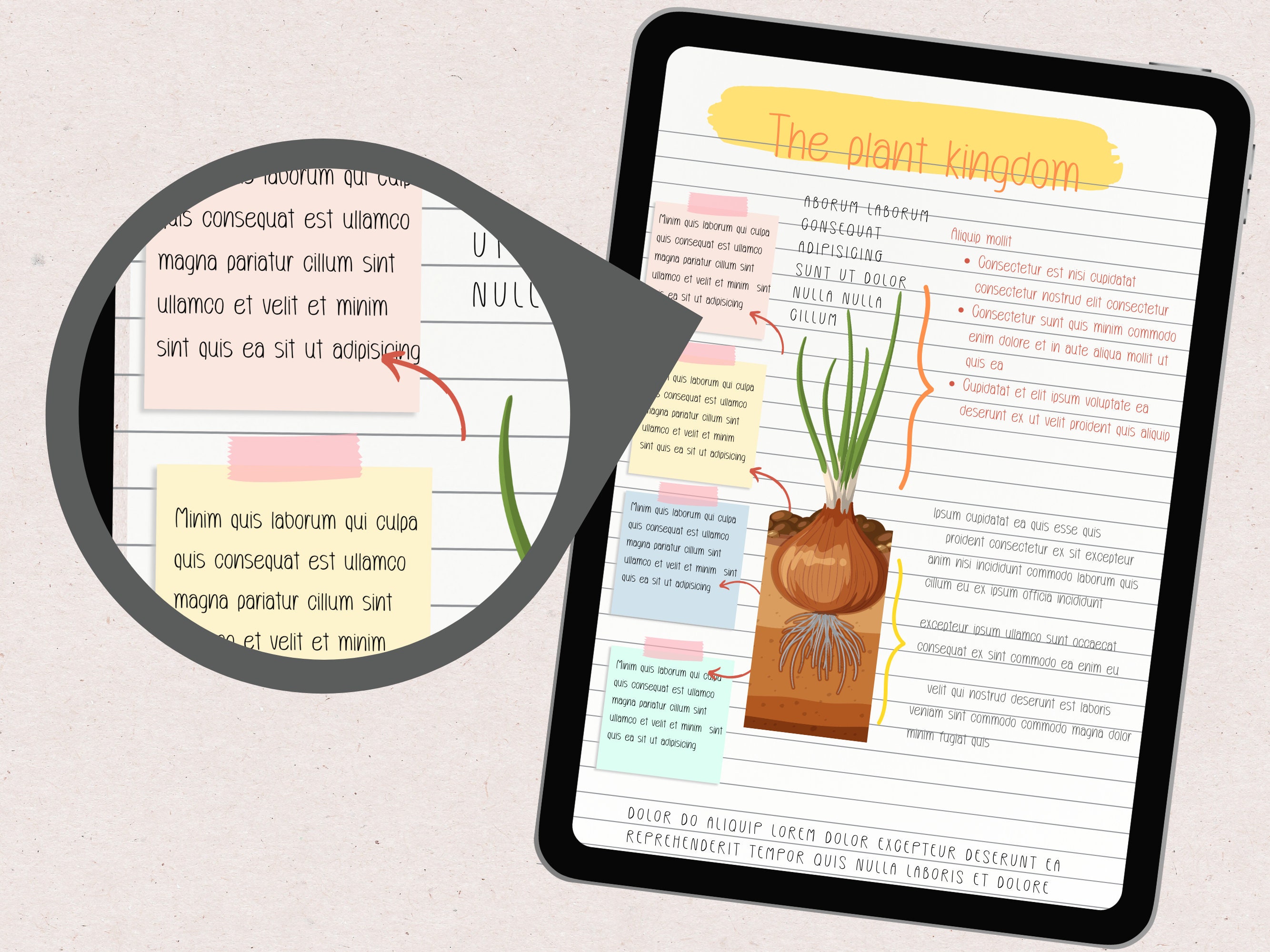 Teacher Font, Take Note Font, Clean Font, Goodnote Font, Casual Font ...