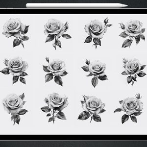 Procreate Realistic Roses, Tattoo Stamp Rose, Realistic Tattoo ...