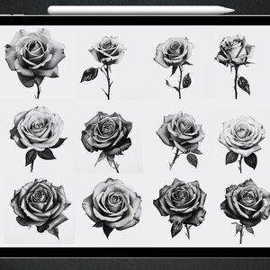 Procreate Realistic Roses, Tattoo Stamp Rose, Realistic Tattoo ...