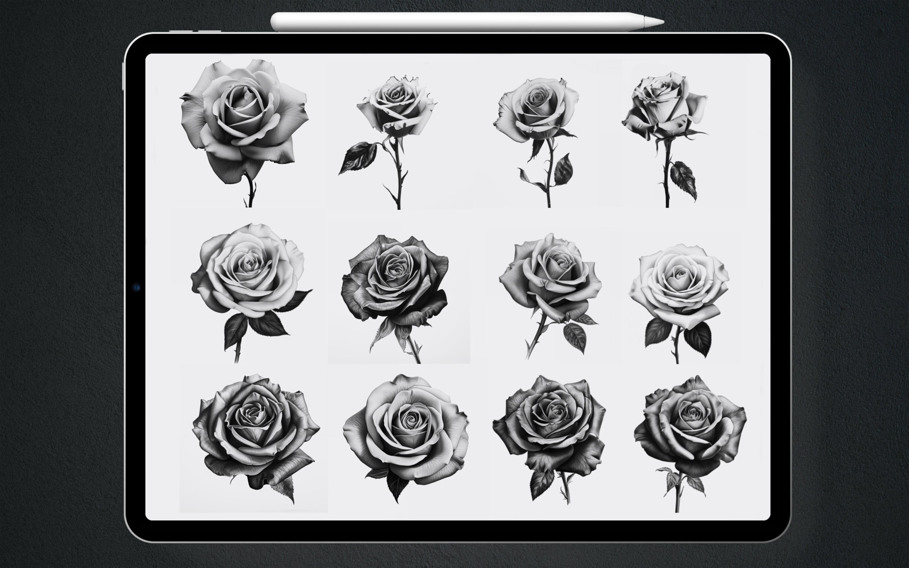Procreate Realistic Roses, Tattoo Stamp Rose, Realistic Tattoo ...