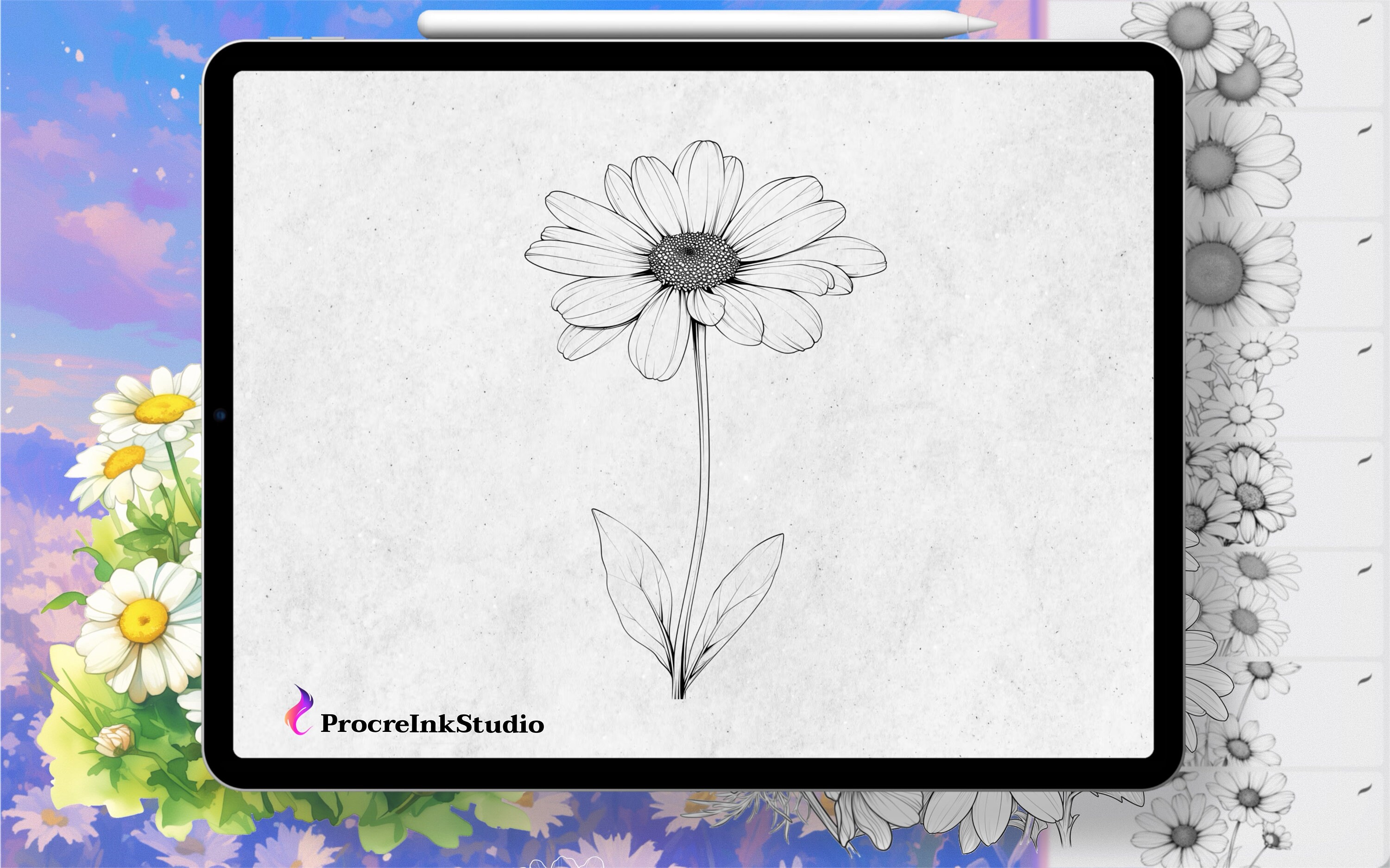 Procreate Daisy Flower Stamps , 100 Daisy Flower Procreate Brushes ...
