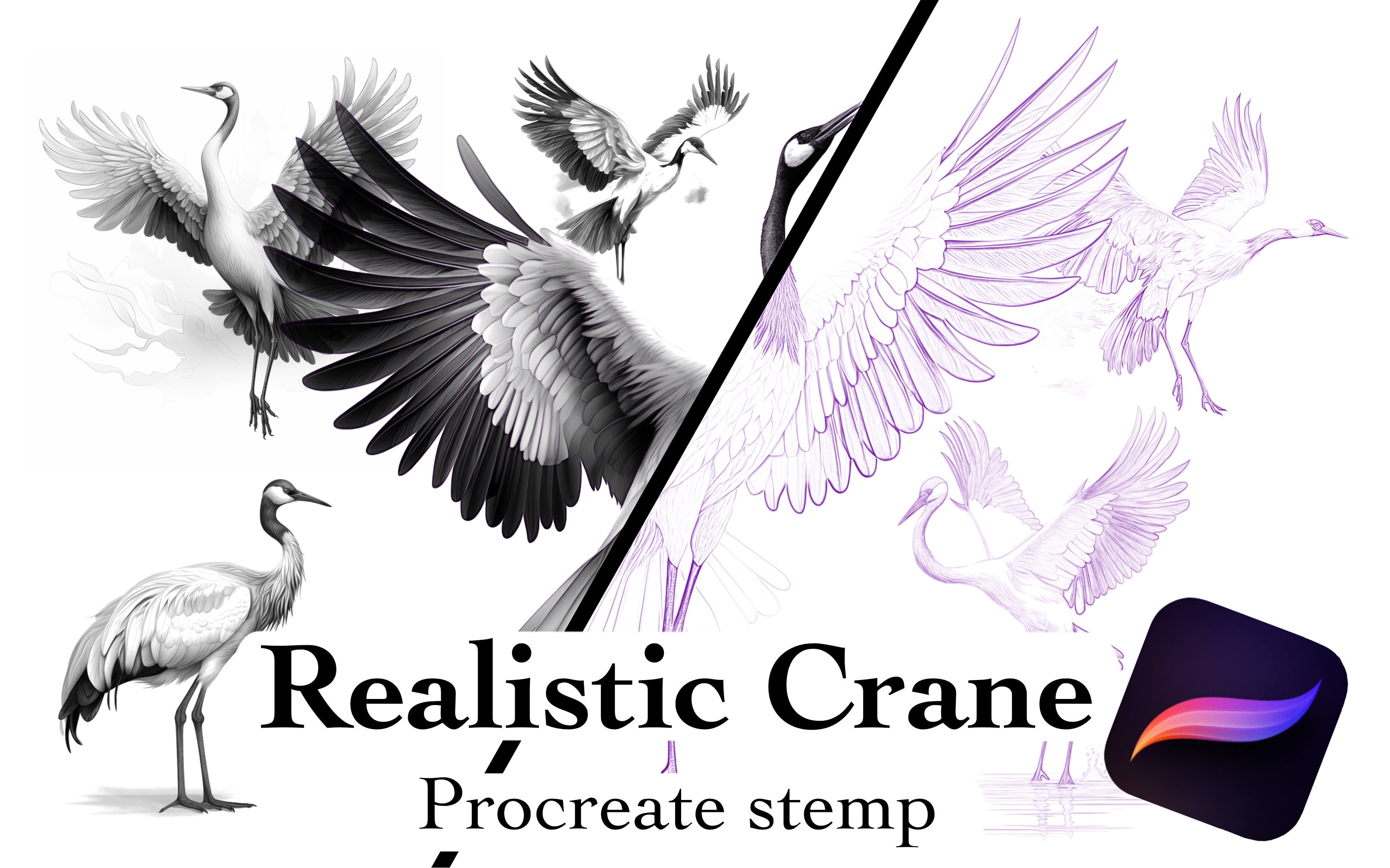 Procreate Crane Realistic Tattoo, Realism Stamps, Tattoo Reference ...