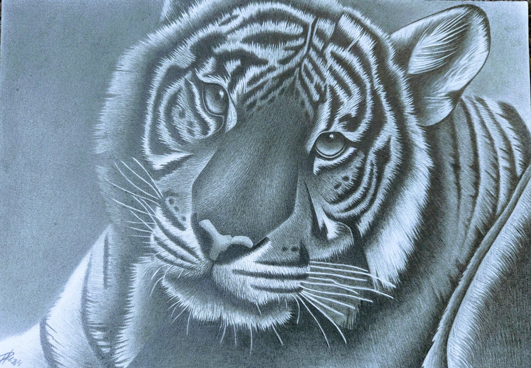 Realistic Drawing | Hyper-realistic Hand Drawn Tiger - Etsy