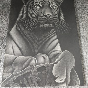 Realistic Tiger Pencil Drawing - Etsy