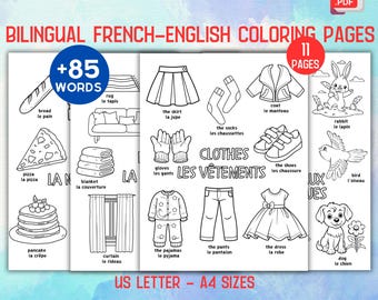 Common French Sentences, Learn French Essential Phrases Vocabulary ...