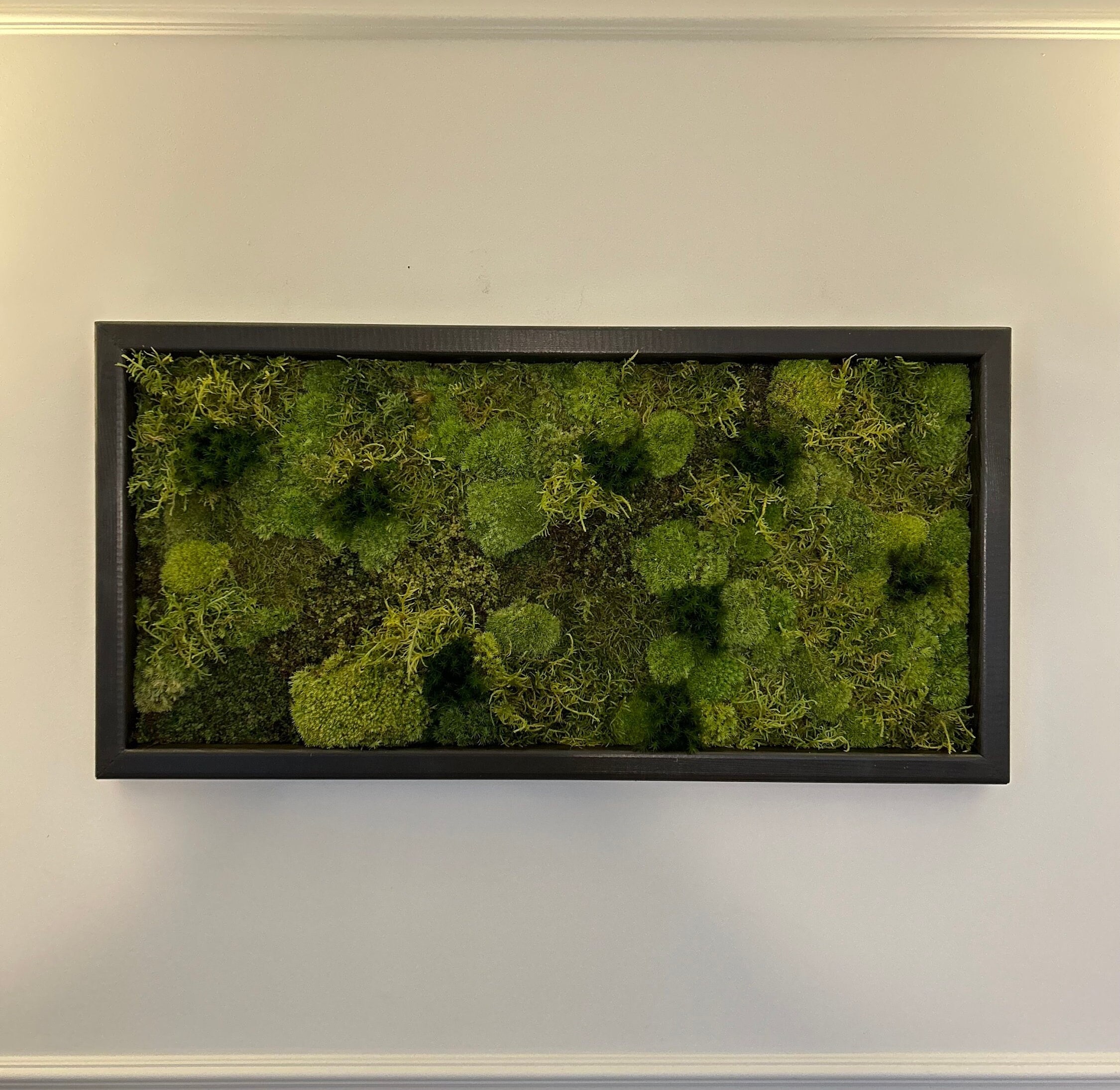 Moss Frame Moss Art Moss Wall Preserved Moss Floral Moss Wall Art Art ...