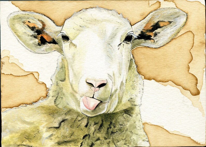 Farm Animals All-occasion Blank Boxed Notecard Set | Chicken, Cow, Pig ...