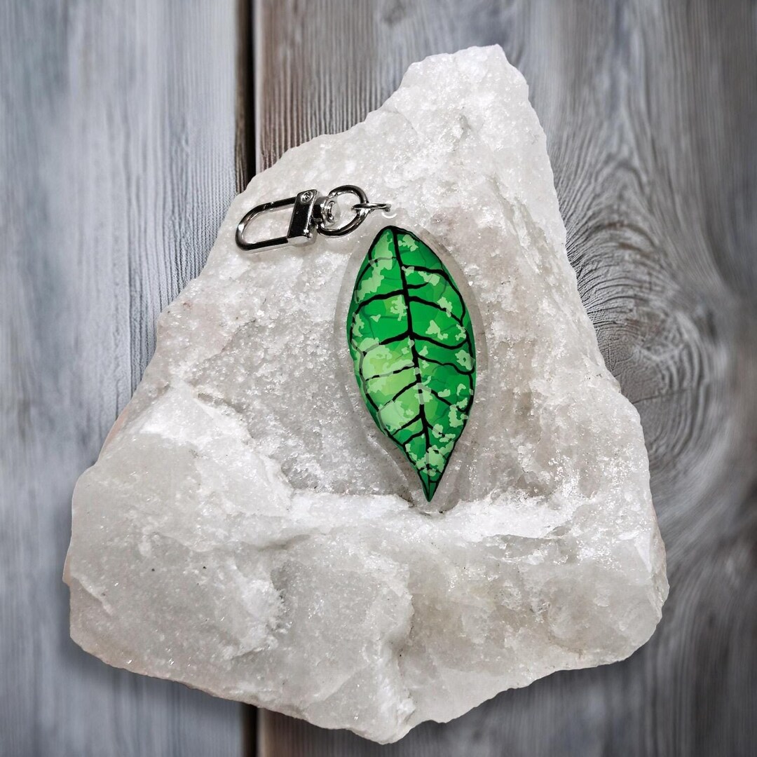 Hoya Plant Clip-on Charm | Hoya Callistophylla | Plant Shelf ...