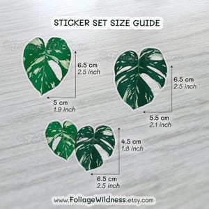 Monstera Sticker Set, Plant Decals for Laptop & Phone - Monstera ...