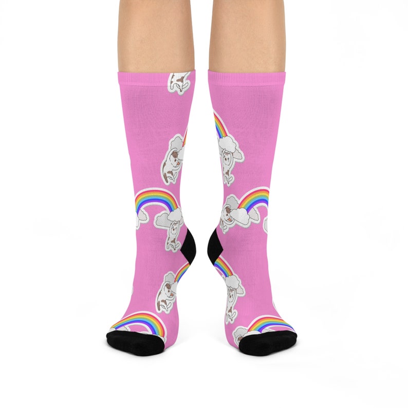 Playful Cats and Rainbows Cushioned Socks - Etsy