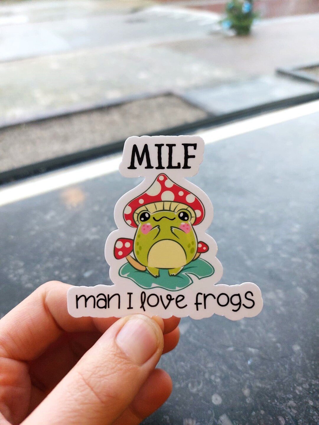 Frog Stickers Froggy Vinyl Sticker Laptop Water Bottle Sticker ...