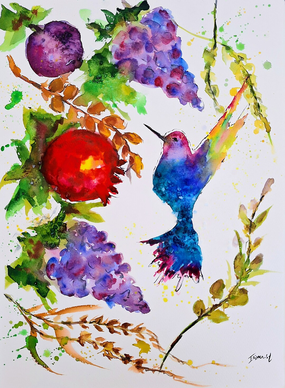 The Seven Species of Blessed Fruits of the Land of Israel Botanical ...