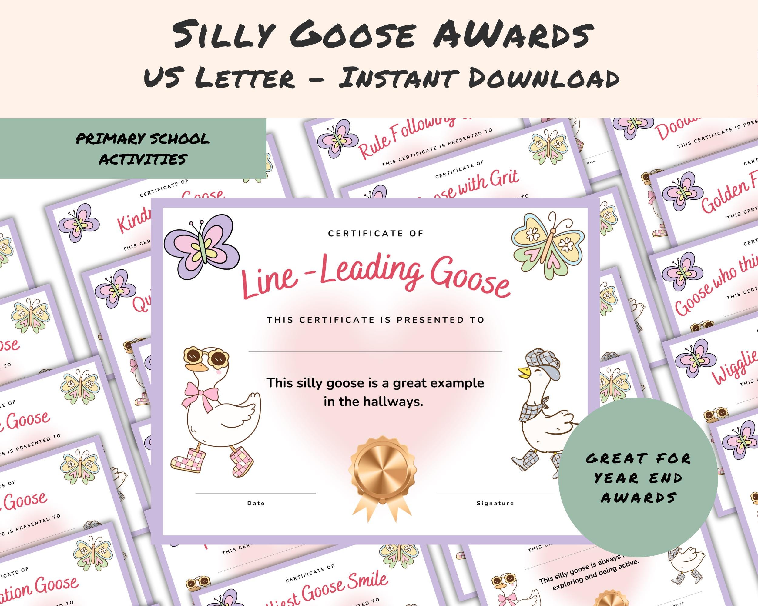 Preschool Award, Kids Certificate, Silly Goose Award, Classroom Award ...