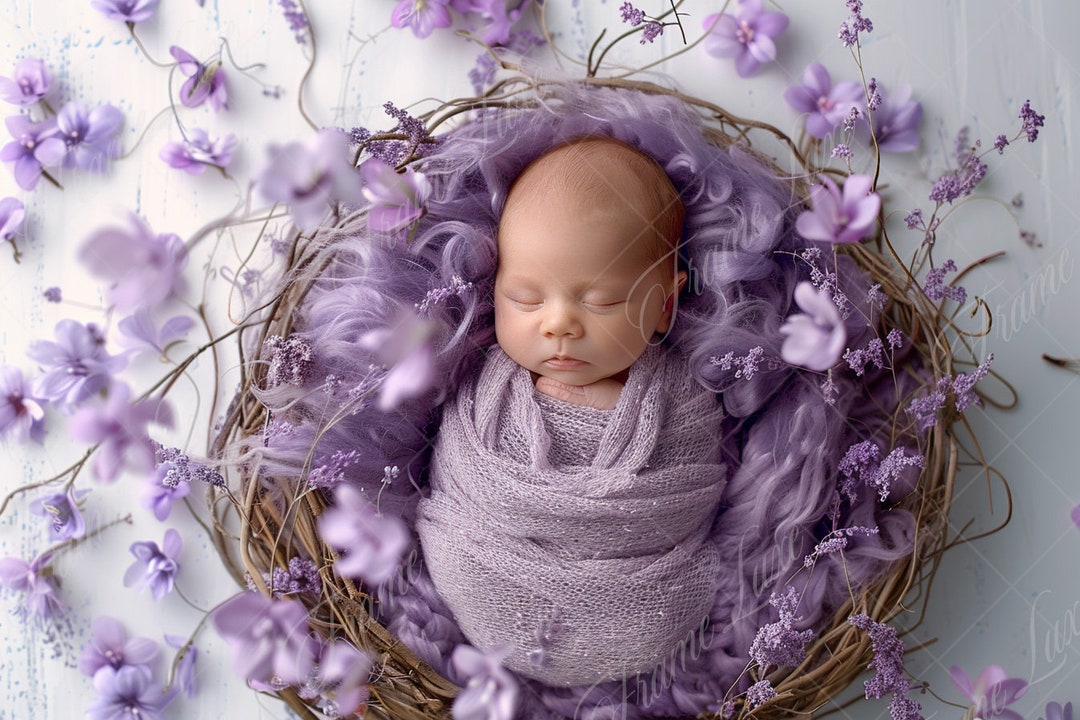 Newborn Digital Backdrop, Baby Girl Purple Flower Nest, Spring Floral ...