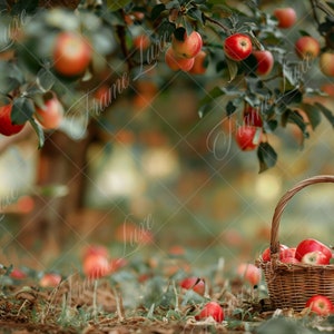 Apple Tree With Basket Digital Background, Summer Autumn Kids Portrait ...