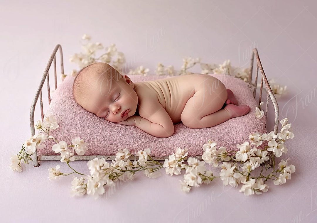 Newborn Digital Backdrop, Minimal Purple Flower Bed, Newborn Baby Girl ...