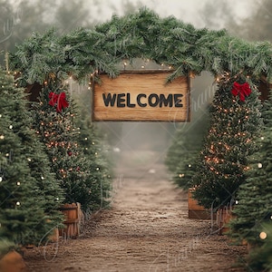 Christmas Tree Farm Digital Background, Fine Art Holiday Portrait ...