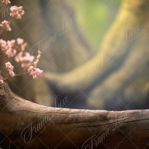 Spring Wood Log Digital Background, Fine Art Portrait Photography ...
