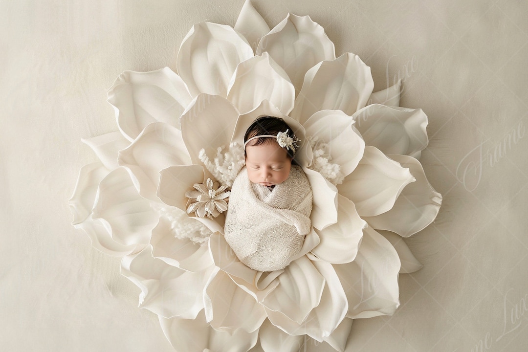 Newborn Digital Background, Baby Girl White Flower on Beige, Fine Art ...