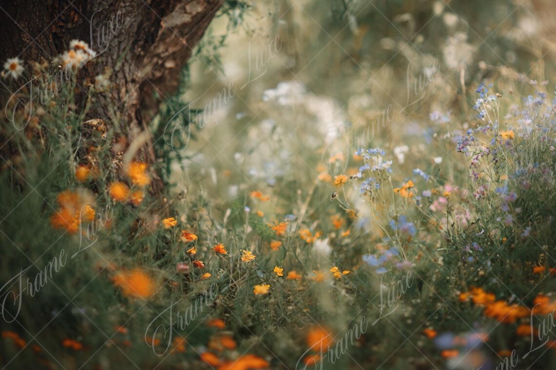 Summer Wildflowers Under Tree Digital Background, Muted, Soft Focus ...