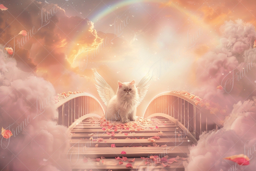 Rainbow Bridge Digital Backdrop, Pet Memorial Digital Background,way to ...