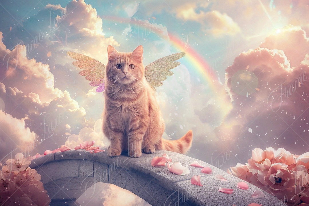 Rainbow Bridge Digital Backdrop, Pet Memorial Digital Background,way to ...