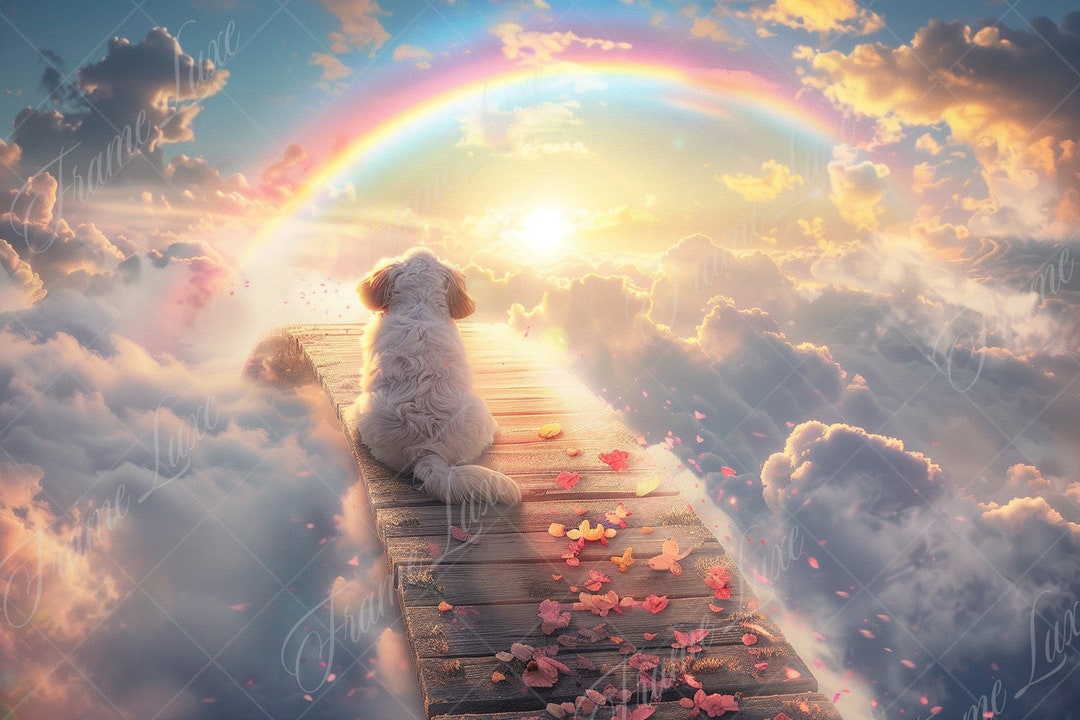 Rainbow Bridge Digital Backdrop, Pet Memorial Digital Background,way to ...