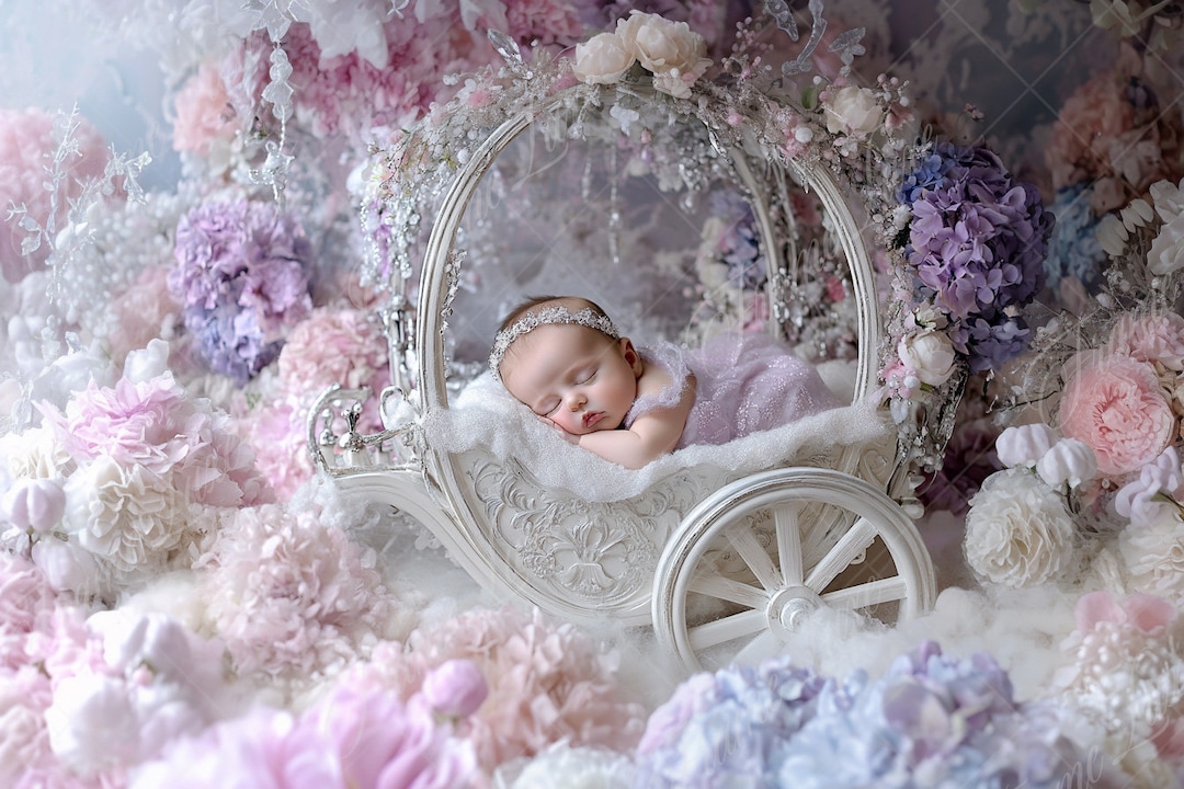 Newborn Digital Background, Purple Princess Cart, Flower Pram,fine Art ...