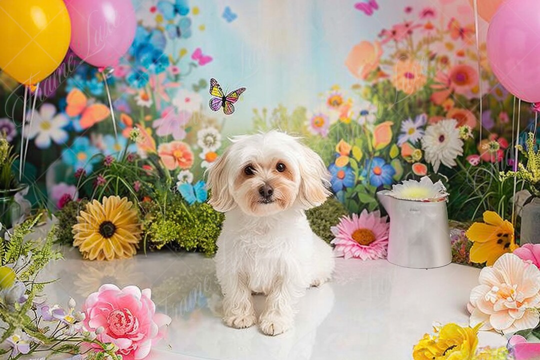 Studio Spring Garden Digital Background, Fine Art Portrait Photography ...