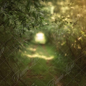 Summer Green Woodland Digital Background, Woods Path, Fine Art Portrait ...