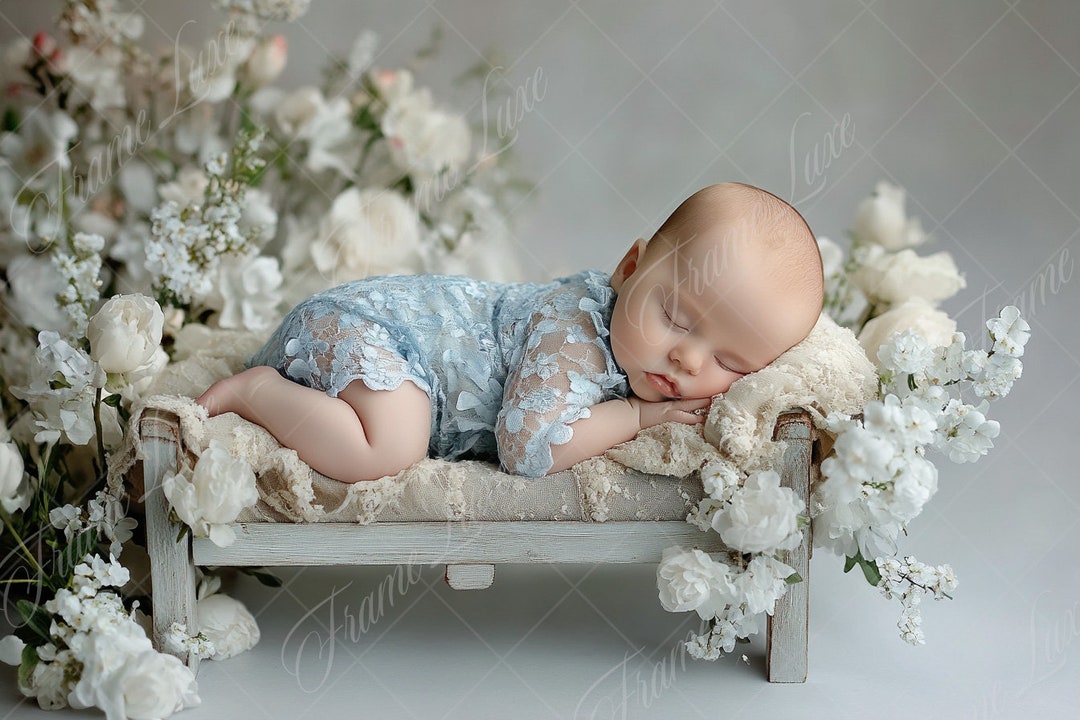 Newborn Digital Backdrop, Baby Girl Grey Cream Flower Bed, Fine Art ...