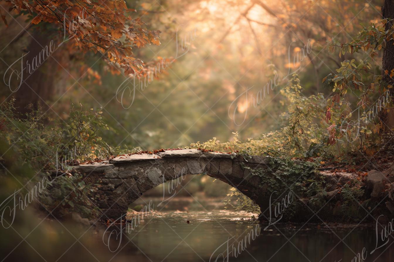 Stone Bridge Fall Trees Digital Background, Soft Focus, Fine Art ...