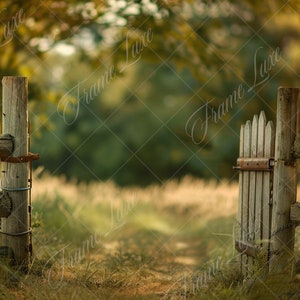 Wooden Gate in Woods Digital Background, Nature Path, Spring Summer ...