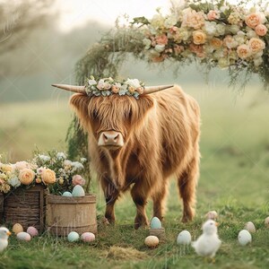 Spring Highland Cow Digital Background, Easter Eggs, Fine Art ...