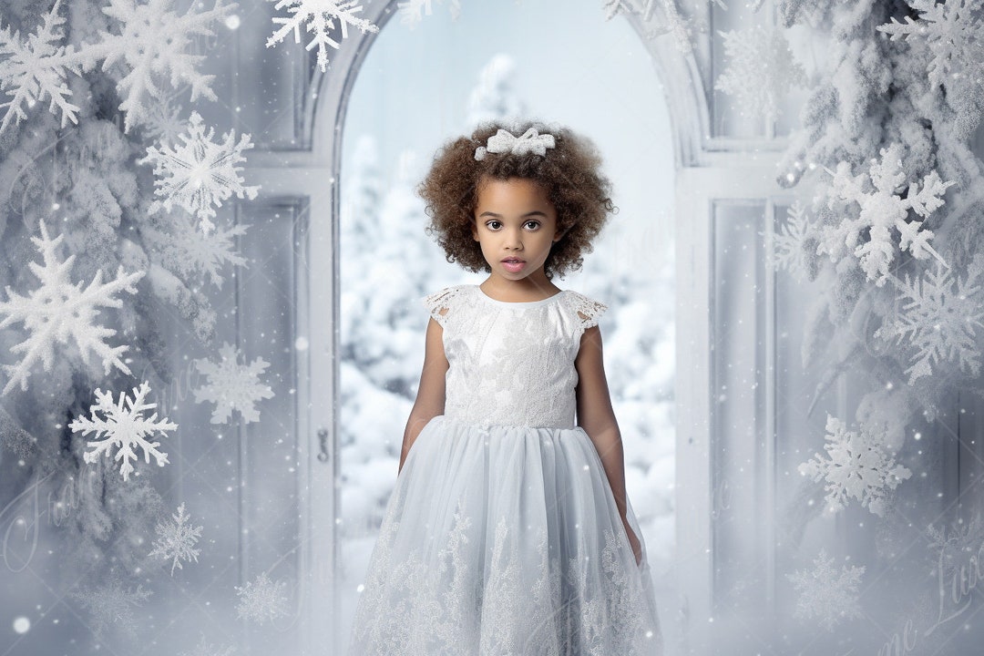 Winter Frozen Arch Digital Background, Fine Art Holiday Portrait ...