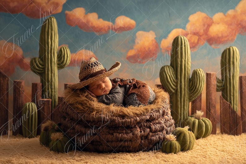 Newborn Digital Backdrop, Western Cowboy With Cactus, Baby Boy Newborn ...