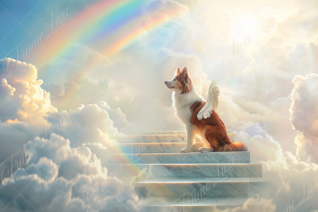 Rainbow Staircase Digital Backdrop, Pet Memorial Digital Background ...