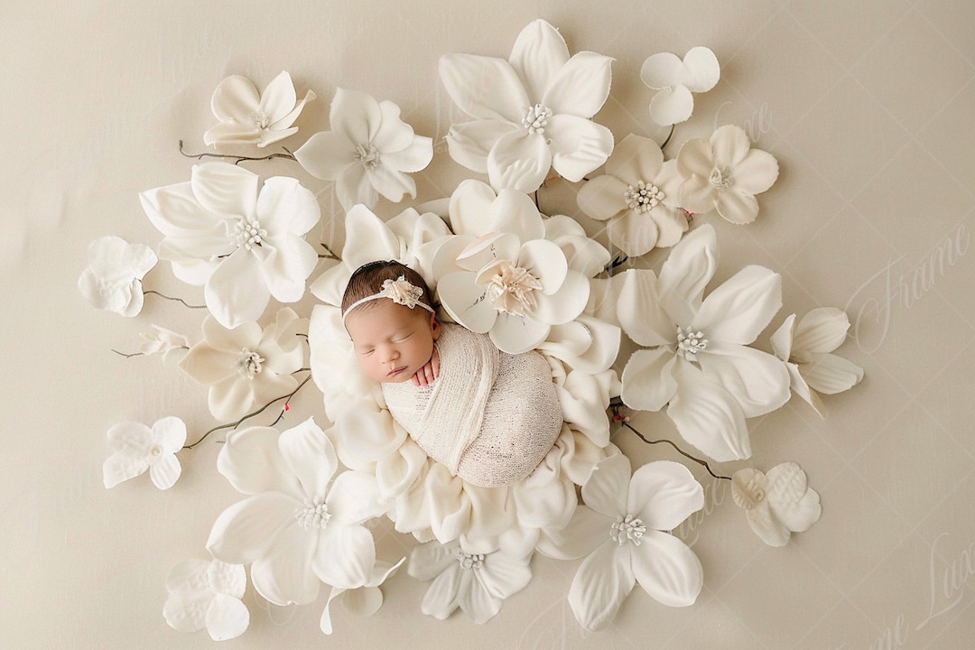 Newborn Digital Background, Baby Girl White Flower on Beige, Fine Art ...
