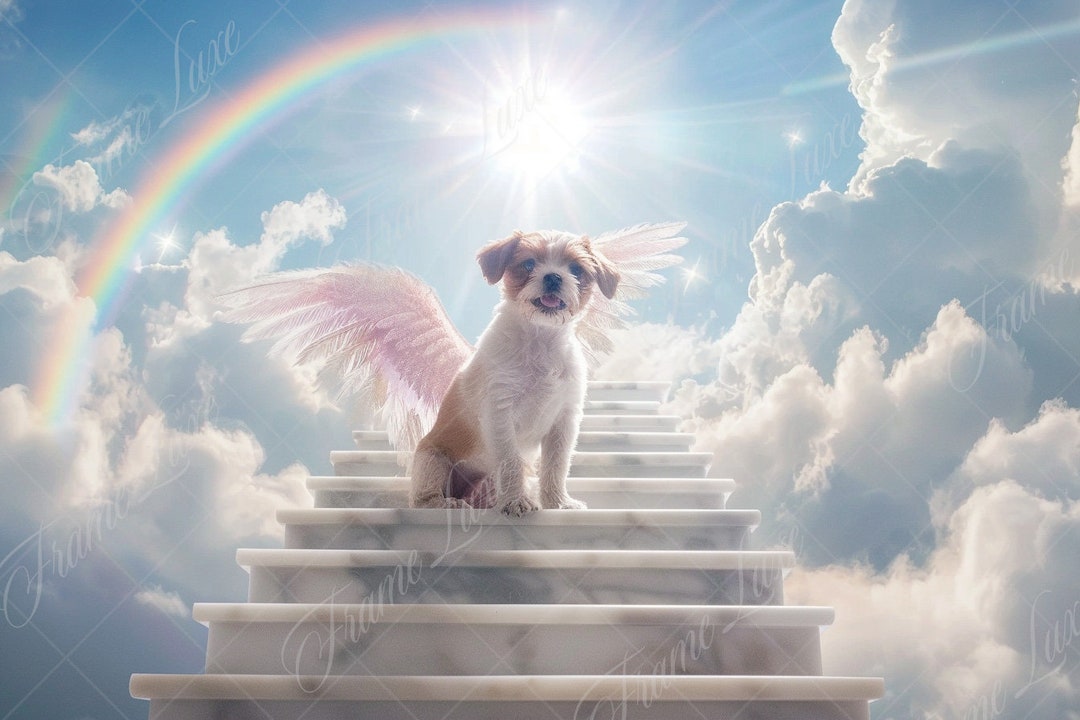Rainbow Staircase Digital Backdrop, Pet Memorial Background, Angel ...