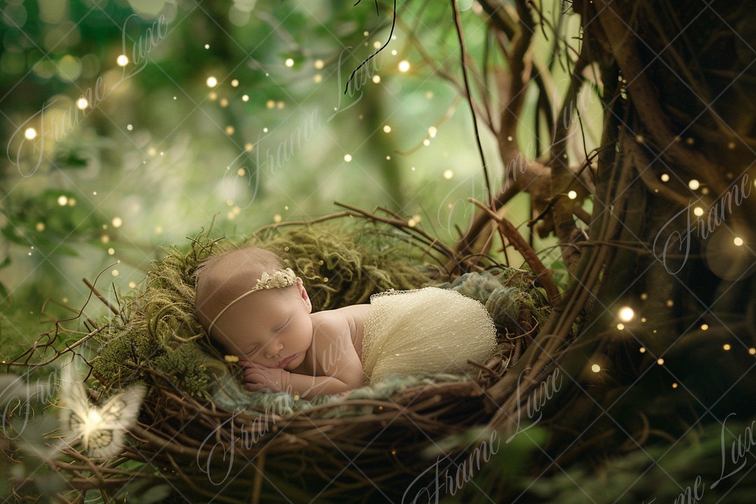 Newborn Digital Background, Bird Nest in Enchanted Forest,baby Boy Girl ...